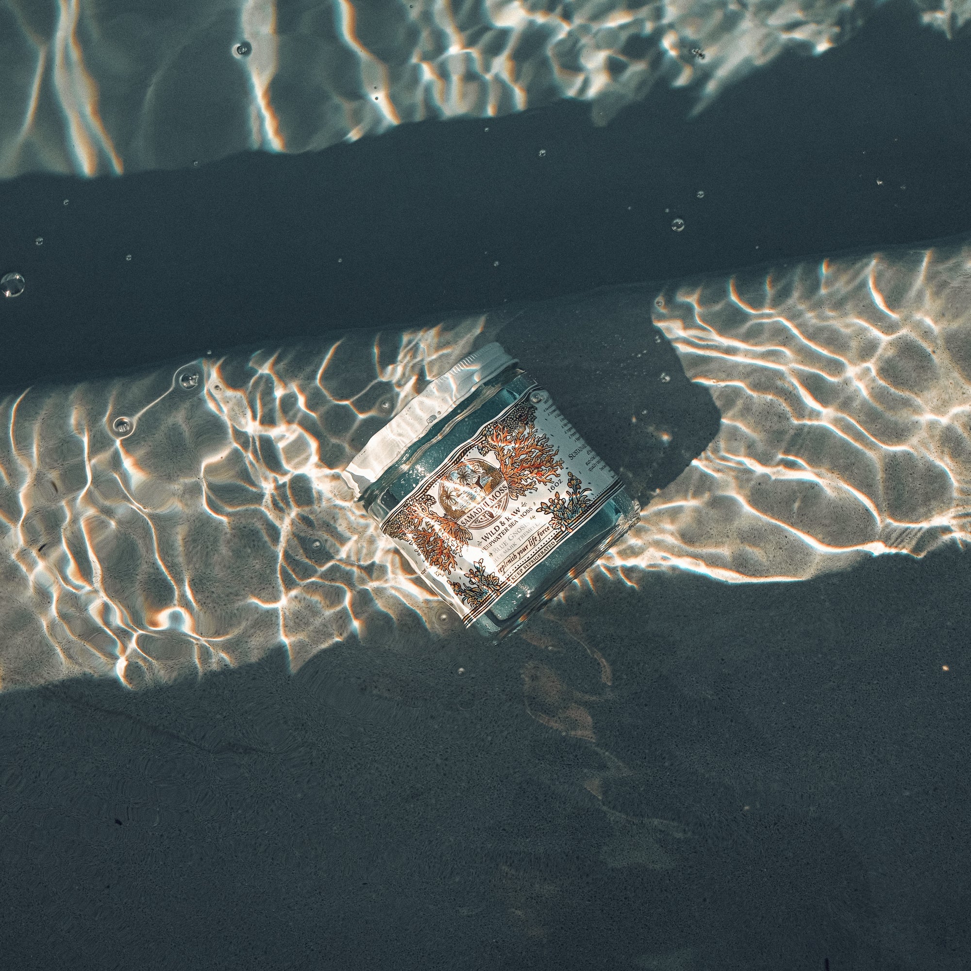 13 Benefits of Sea Moss for Daily Health Using Truly Wild Moss ...